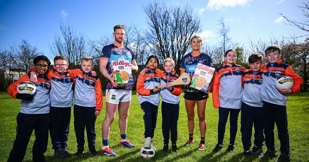 Cork clubs facing stricter guidelines regarding running of Cúl Camps in ...
