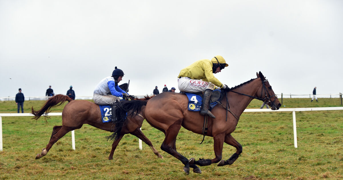Jane Mangan marks your card ahead of racing at Cheltenham and Punchestown