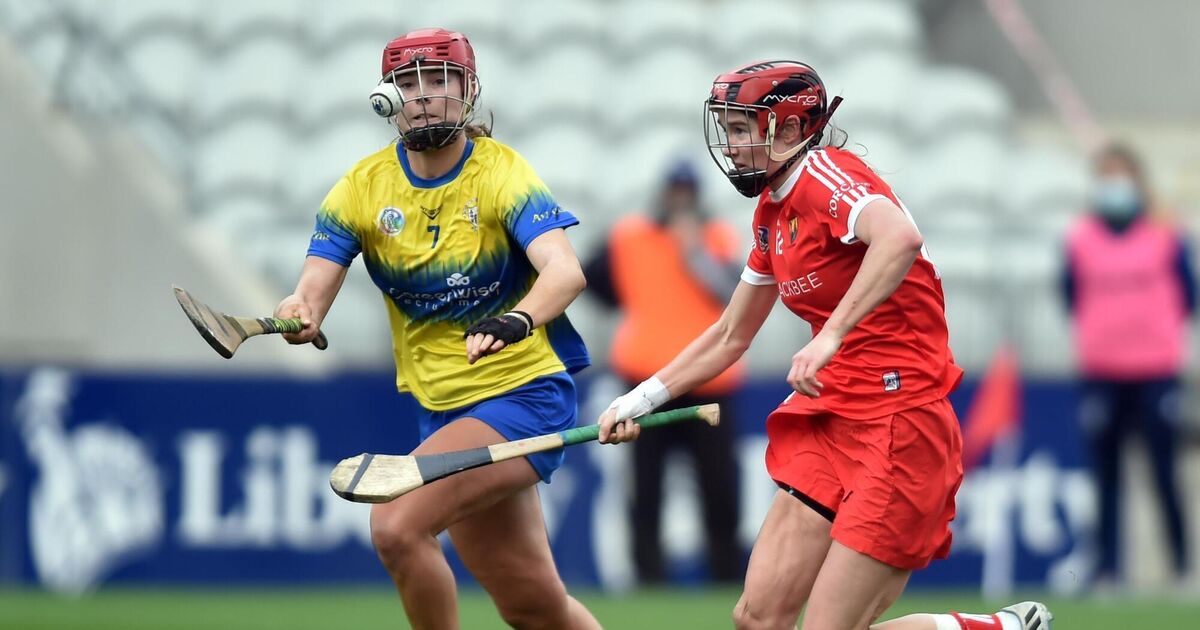 Mackey twins as determined as ever to drive Cork back to camogie final