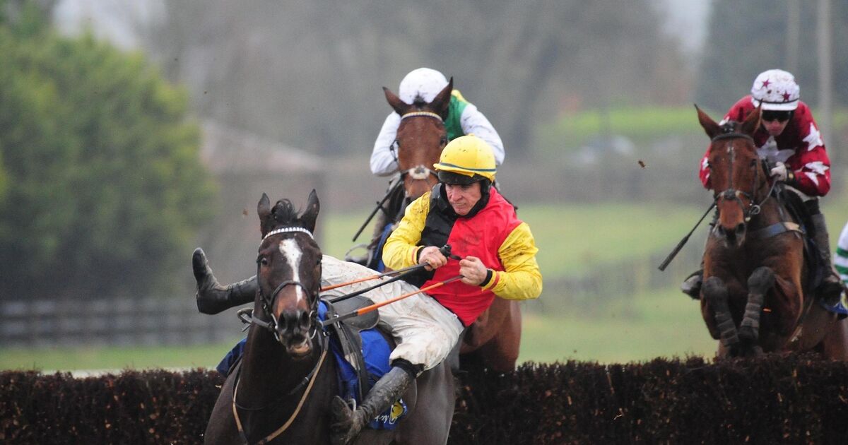 Sam Curling-trained Aloneamongmillions one of the stars at Dromahane