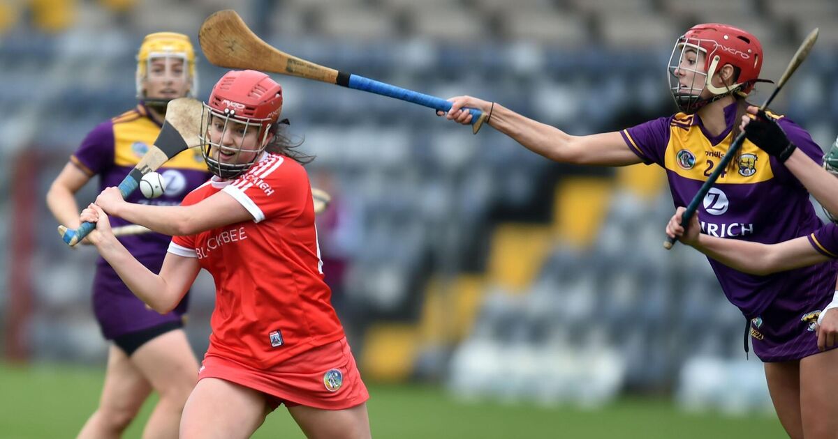 A year to remember for dual star Fiona Keating after losing three finals