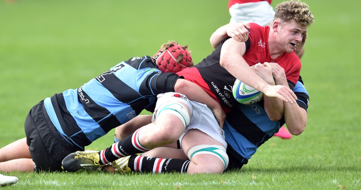 Cork rugby: UCC are in devastating form against Shannon in the Mardyke