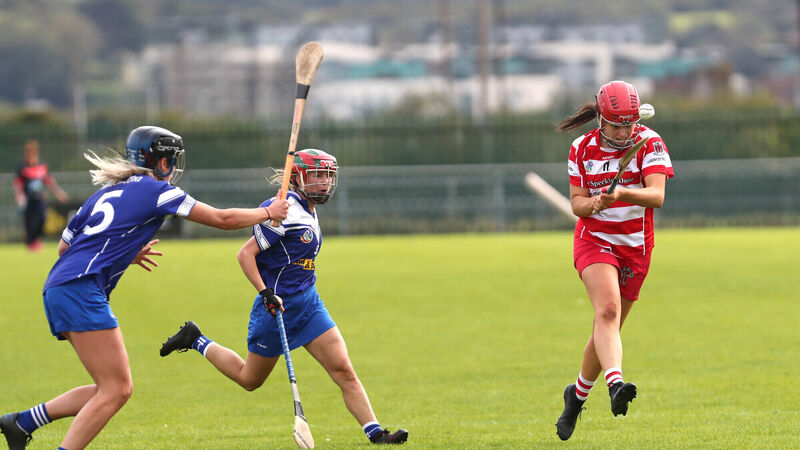 The Linda Mellerick column: Courcey Rovers are worthy Cork camogie champs