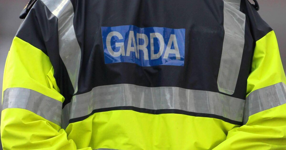 Garda investigation in Carrigaline after playground vandalised on Halloween