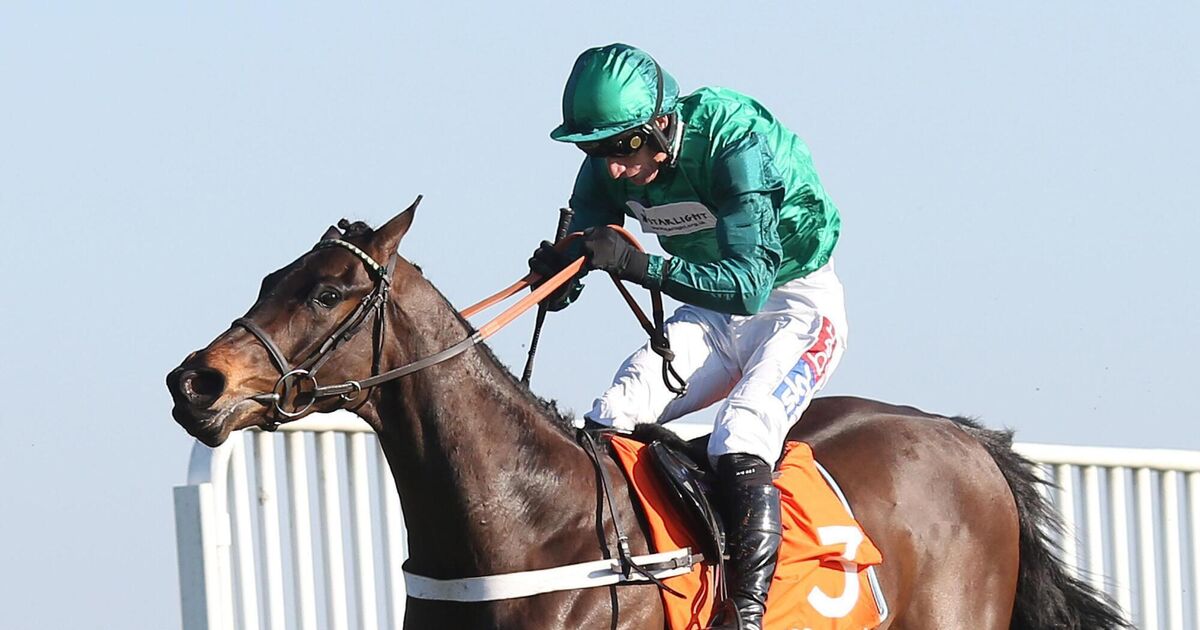 Cork racing: Star names in action as national hunt returns to Cheltenham