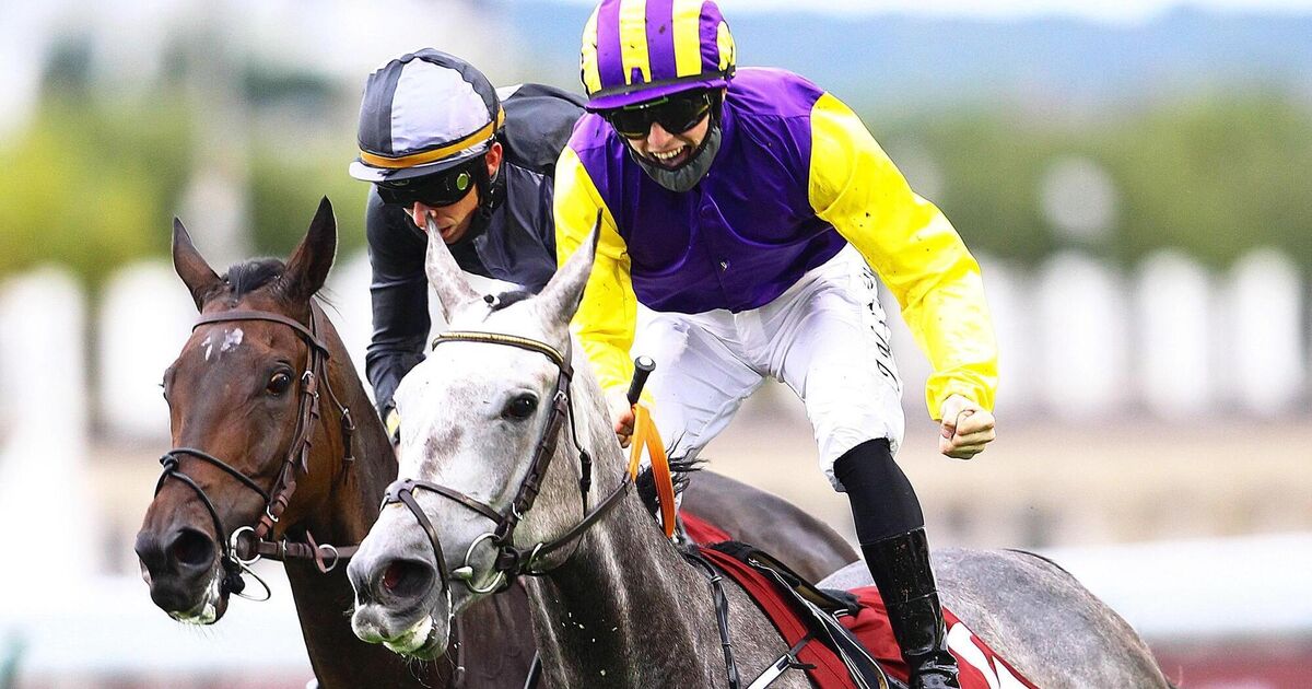 The Jane Mangan column: Princess Zoe reminded racing fans of sporting magic