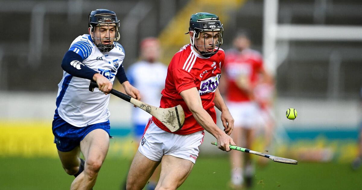 How the Cork players rated in the defeat to Waterford
