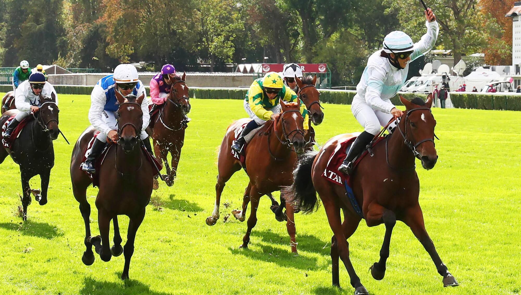 Jane Mangan marks your card ahead of this weekend's racing