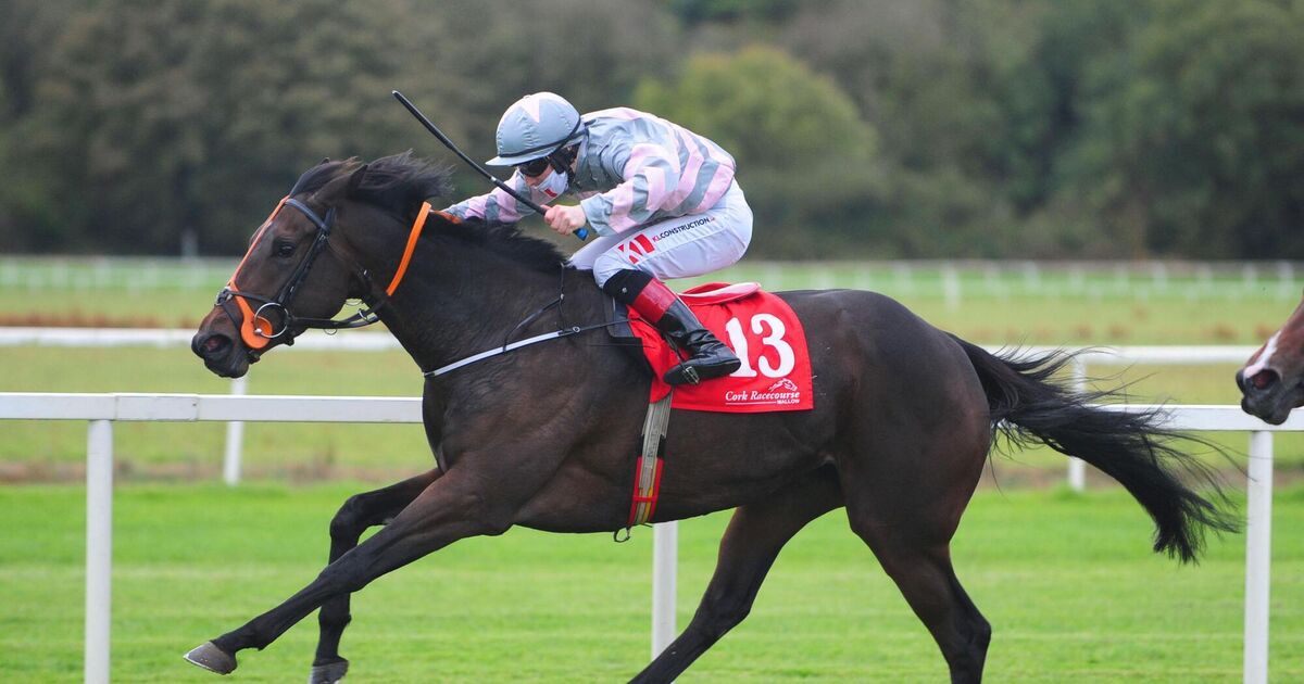 Colin Keane showed why he's a Champion Jockey by delivering when it ...