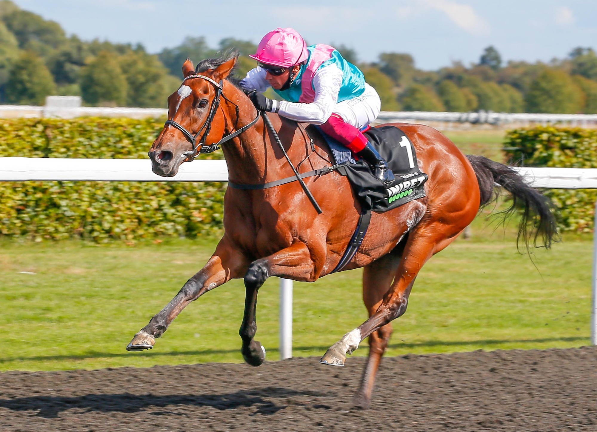 Jane Mangan: Arc is Enable’s chance to be the best of the best