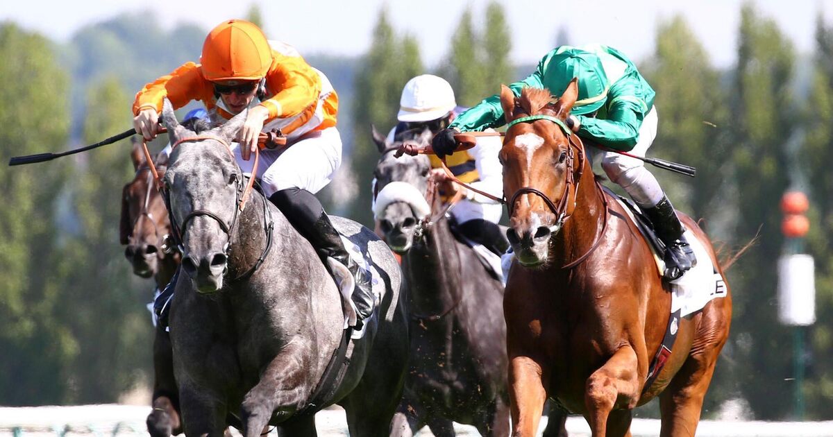 Jane Mangan marks your card ahead of this weekend's racing