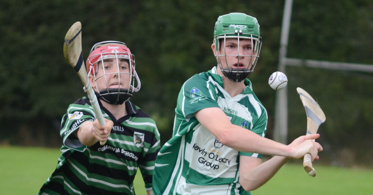 Valley Rovers hurlers land another U16 county after an impressive display