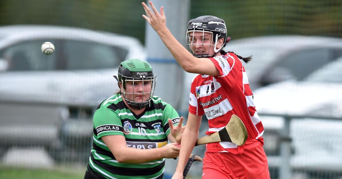 Camogie final: Courcey Rovers can learn lessons from previous loss to ...