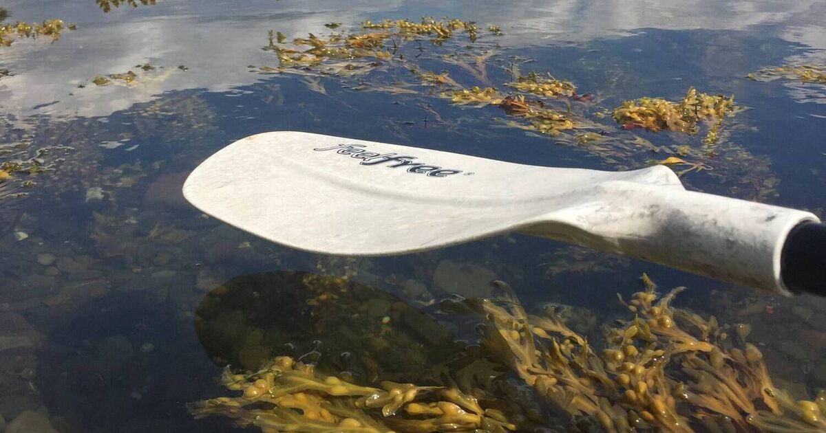 I spent the day kayaking the Bantry Blueway