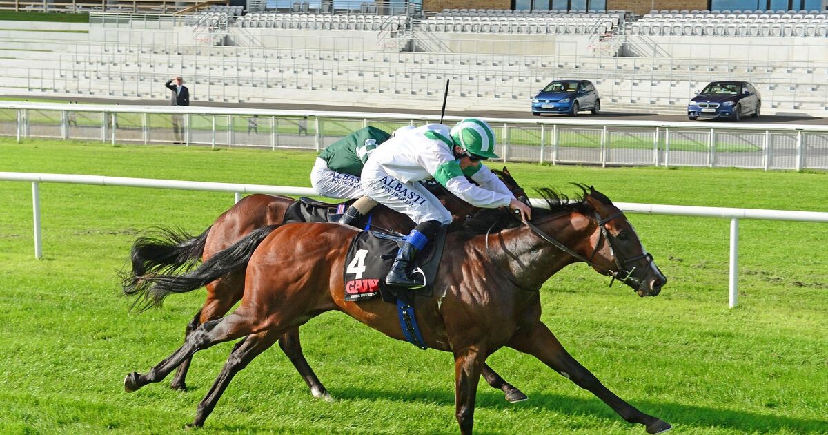 The Jane Mangan column: Racing is keeping us going through tough times