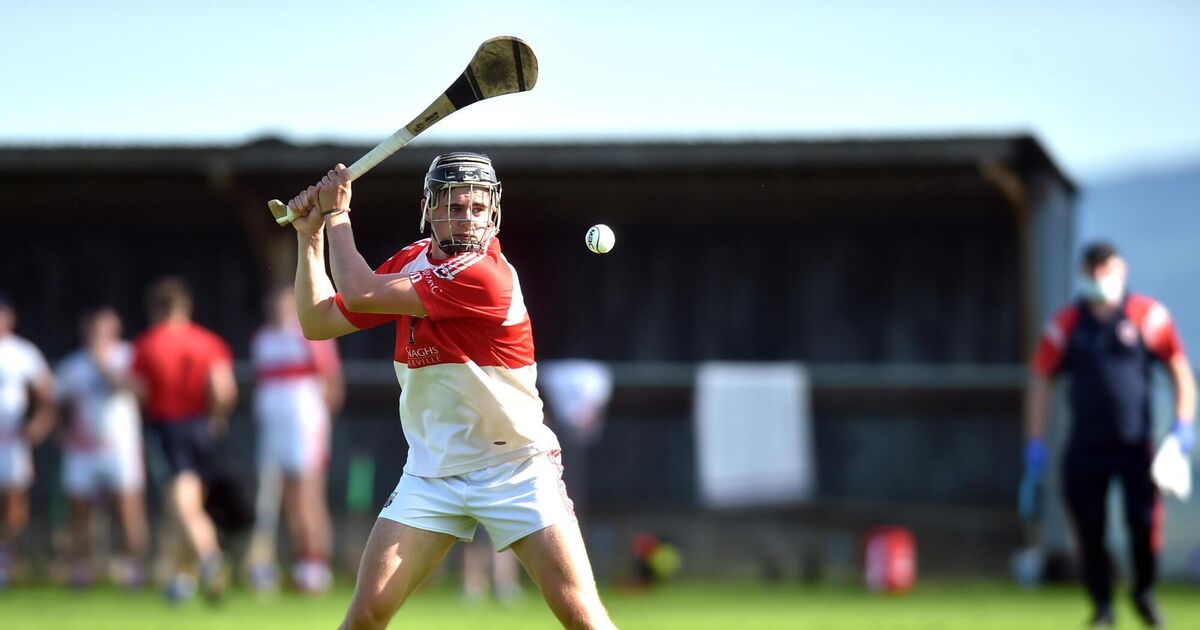 Darragh Fitzgibbon leads the way again as Charleville cruise past Fermoy