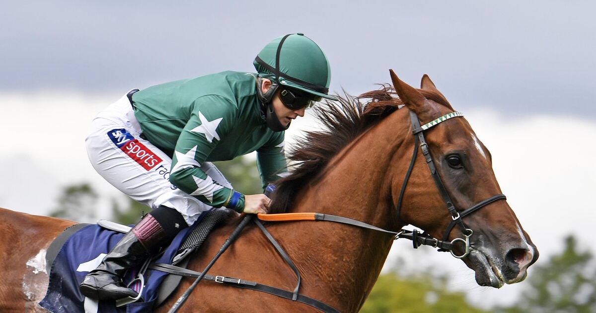 The Jane Mangan column: Five-star display by Hollie Doyle lights up racing