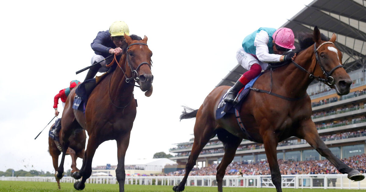Echo racing expert Jane Mangan marks your card ahead of the weekend action
