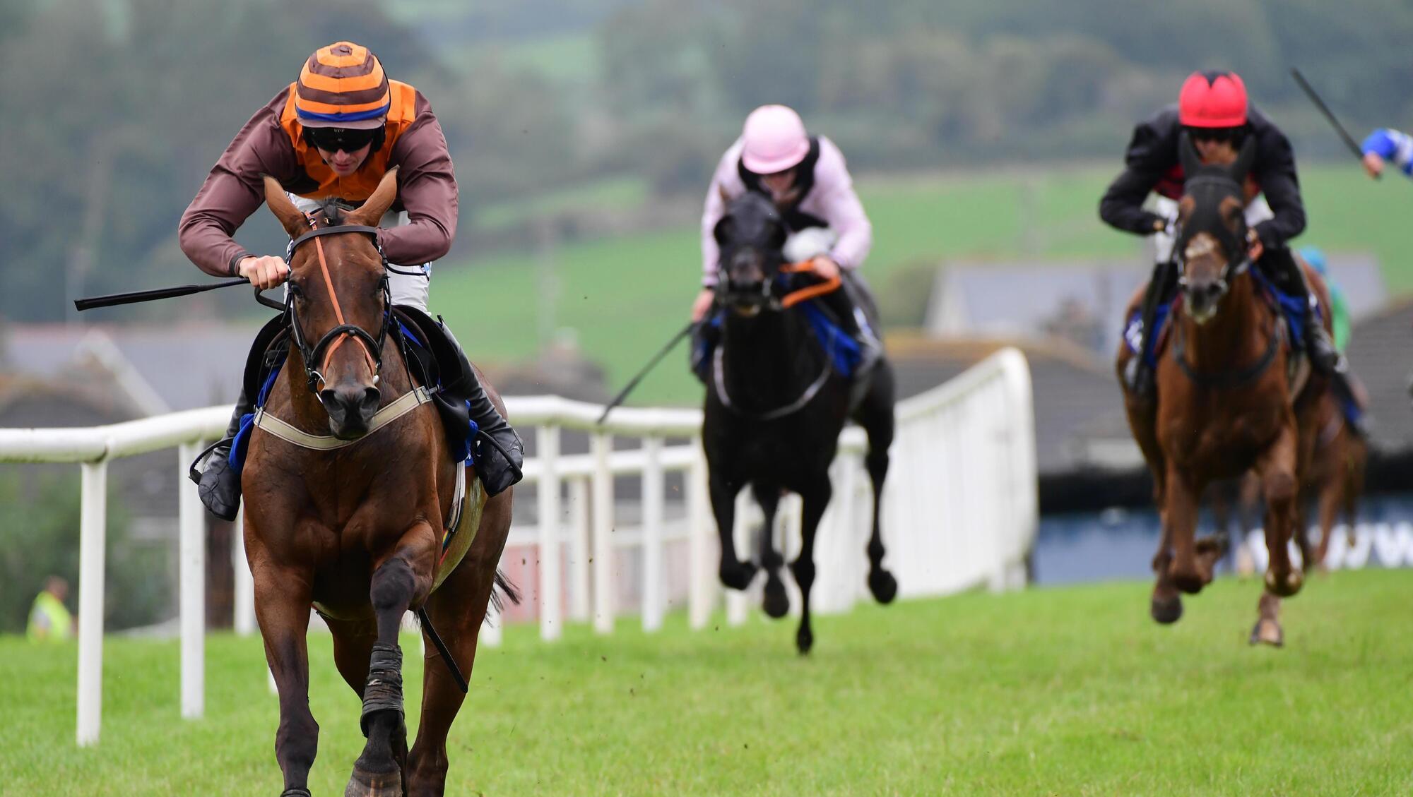 Cork trainer Liam Burke's horses were in great form with four wins in ...