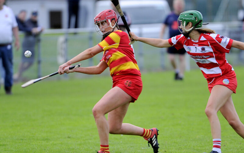 Cork camogie: Classy Courceys have the firepower to see off Newcestown