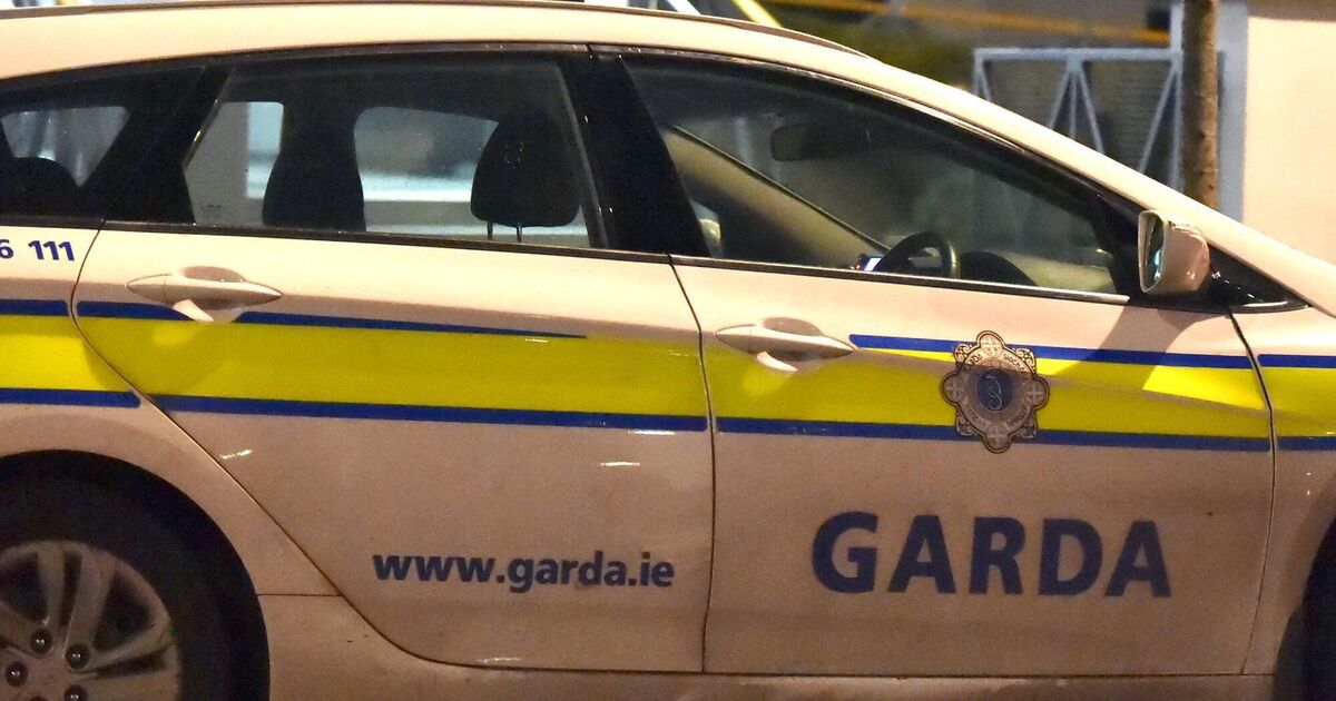 Garda fleet in Cork increases