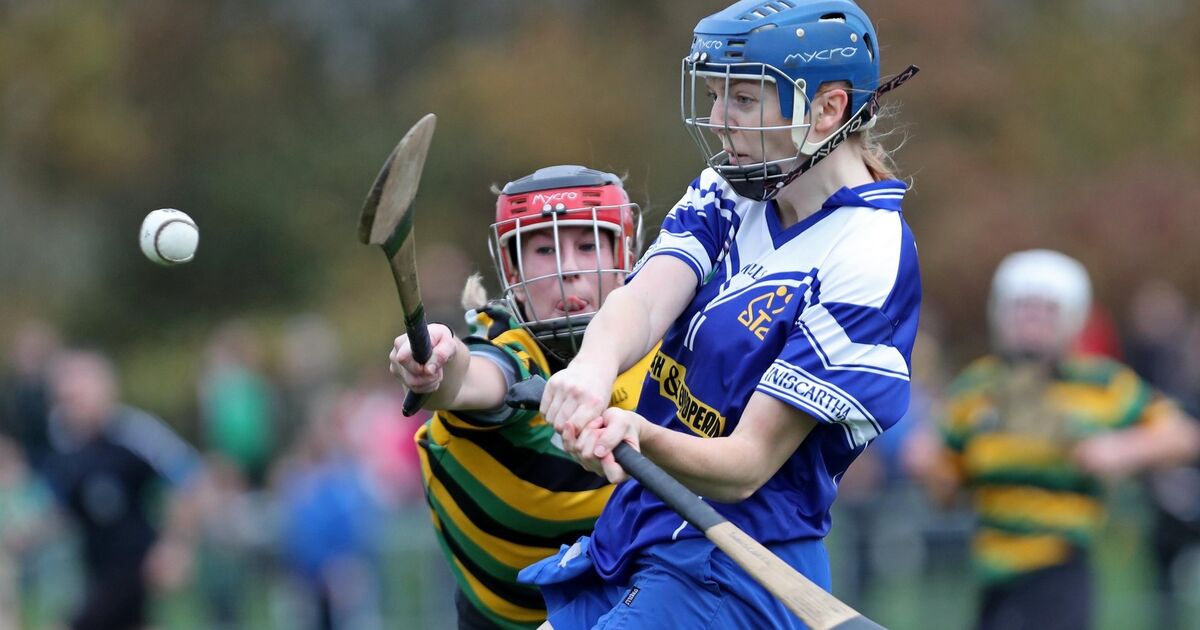 Impressive Inniscarra show no mercy to blitz Ballincollig in camogie ...