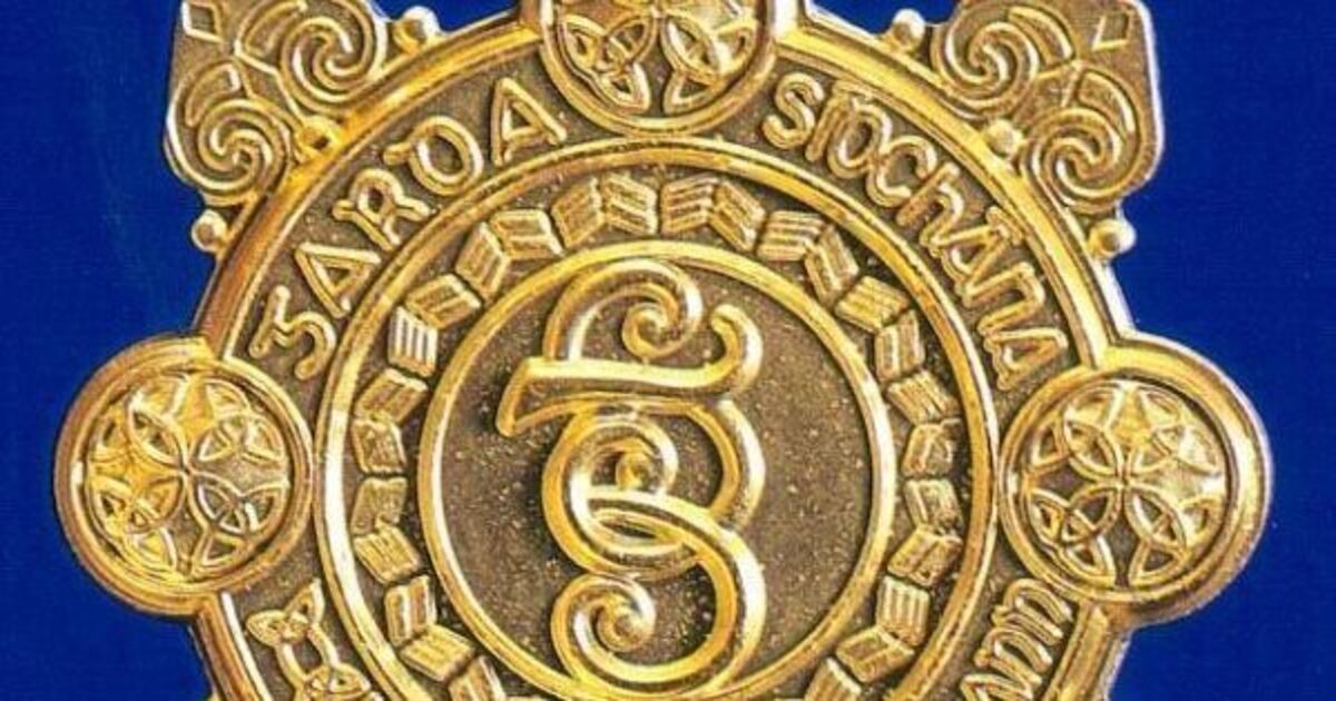 Man threatened garda at 4.30am station visit