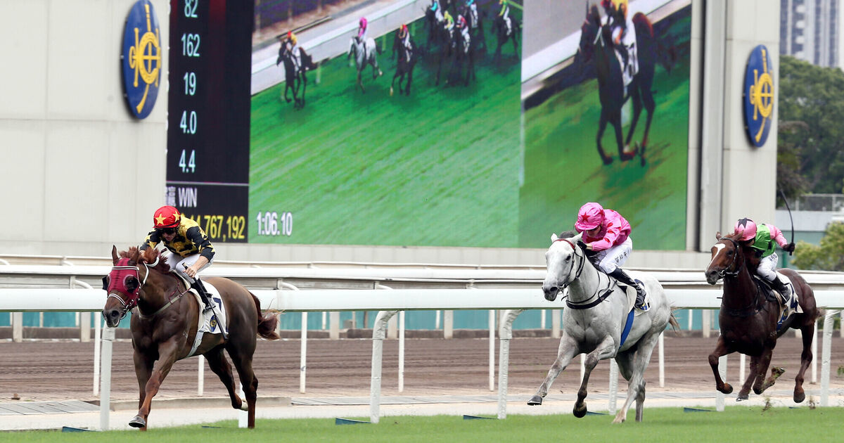 The Jane Mangan column: Racing has a golden opportunity to shine on its ...