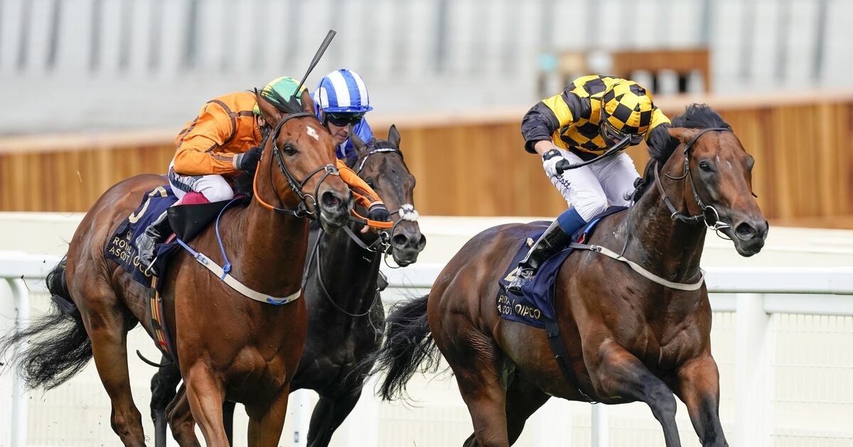 Racing expert Jane Mangan gives Echo readers her weekend tips