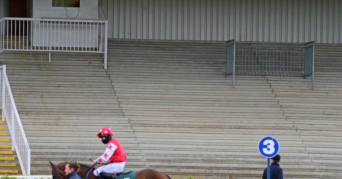 The Jane Mangan column: Racing action is back and we're loving it