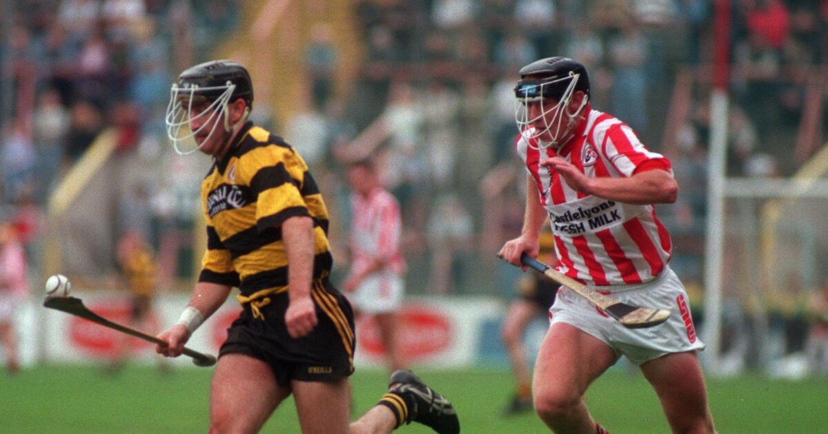 Cork hurling: 1996 was a year to remember for Avondhu division