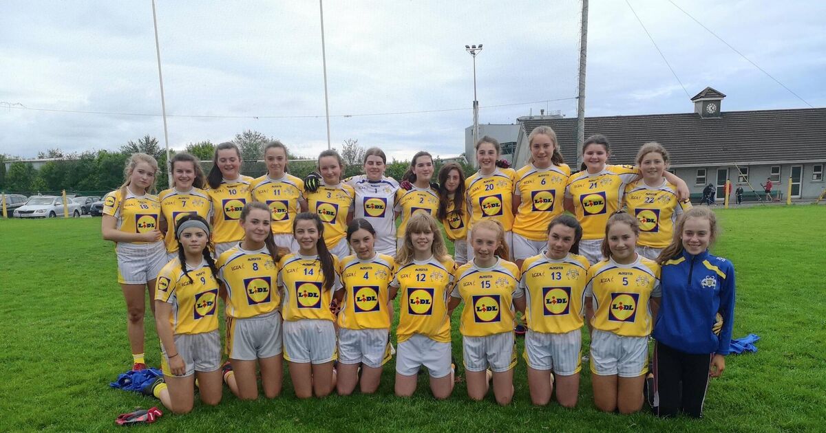 Bandon GAA, ladies and camogie clubs all worked together for charity