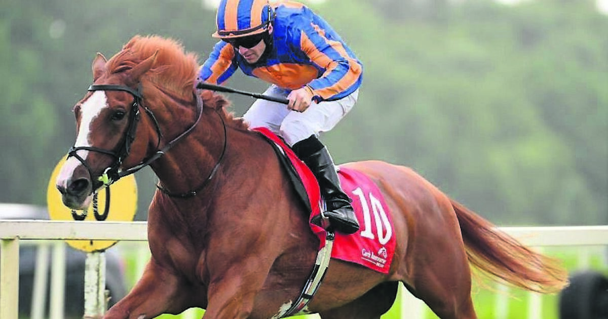 The Jane Mangan column: Marking your card for this weekend's racing