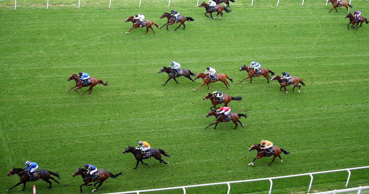 The Jane Mangan column: RTE Racing recorded its highest viewing figures ...