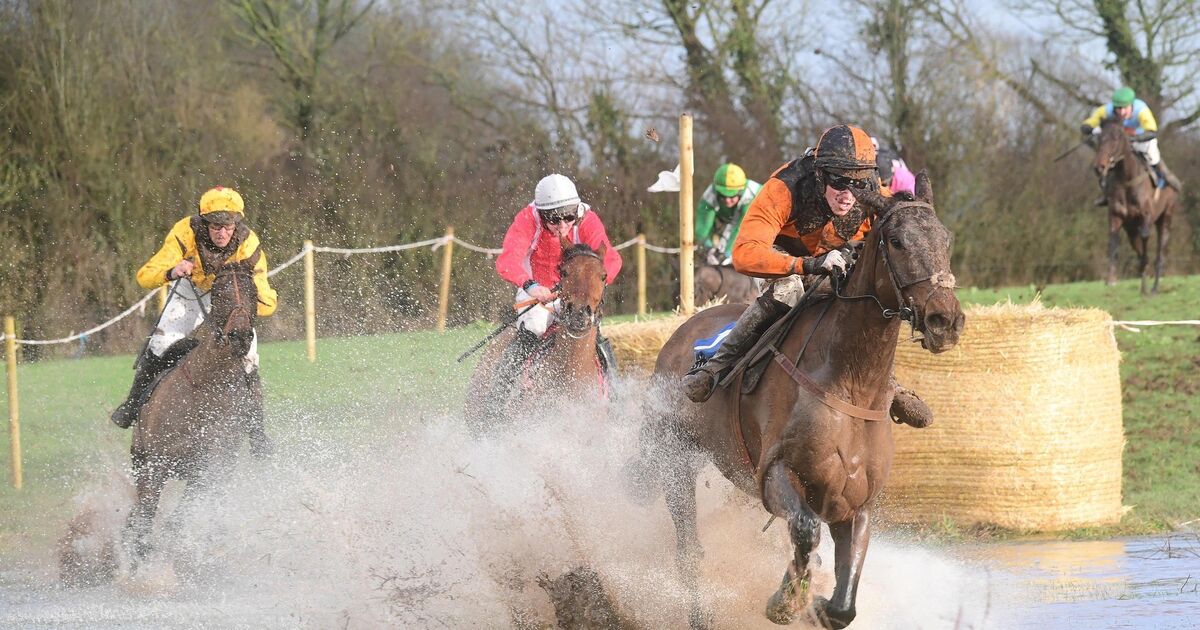 Jimmy Mangan racing club offers a chance to get involved in owning horses