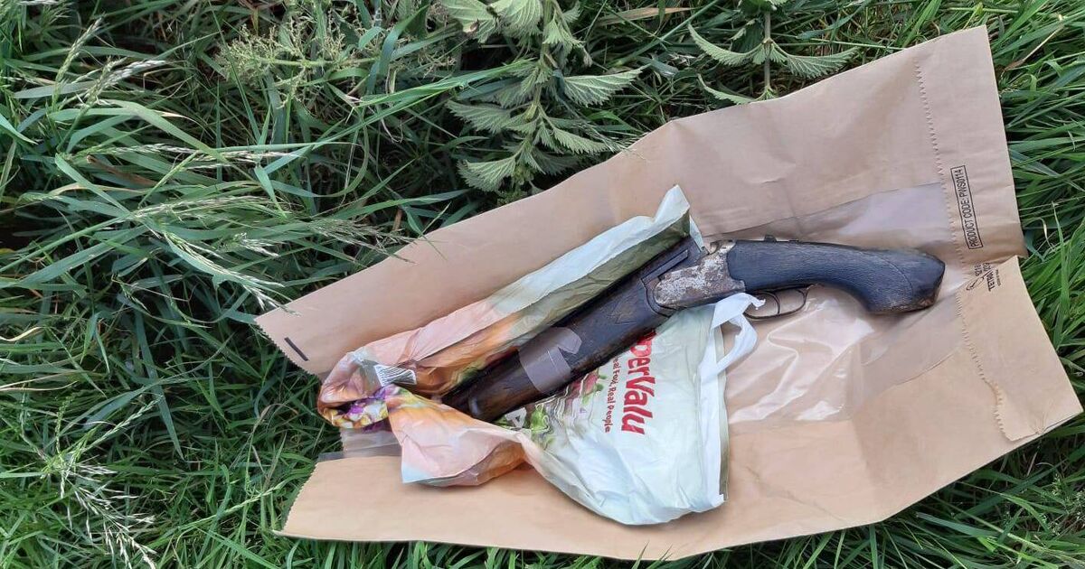 Sawn-off shotgun found dumped on outskirts of Cork city