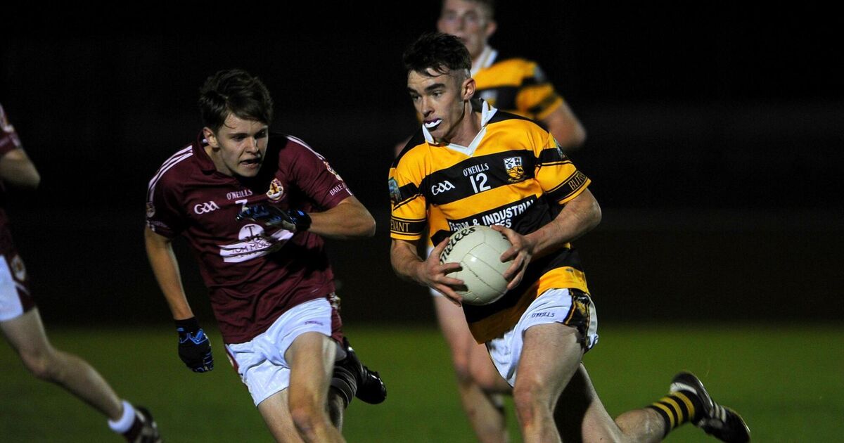 Buttevant secretary on the issues faced by Cork GAA clubs in current ...