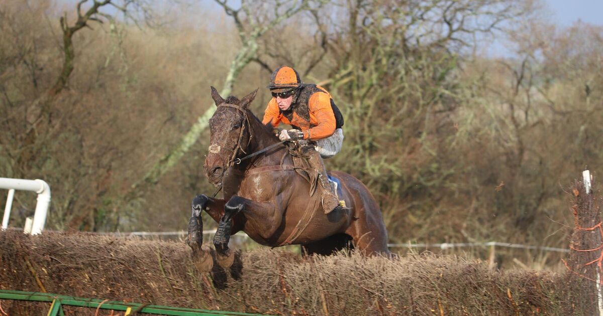 Jimmy Mangan is counting the days down to the start of the point-to ...