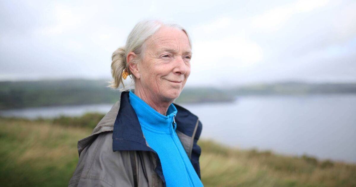 Learn how to smoke wild fish with award-winning West Cork woman