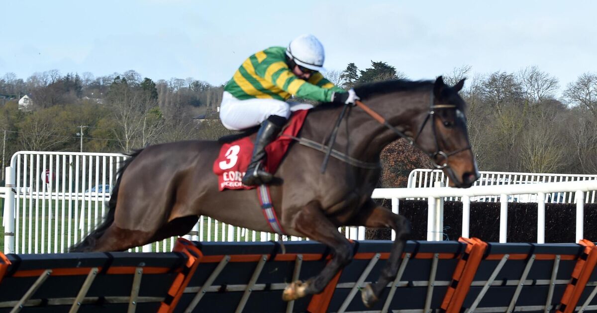 Cork Racecourse in Mallow will be a test centre for Covid-19 from Thursday