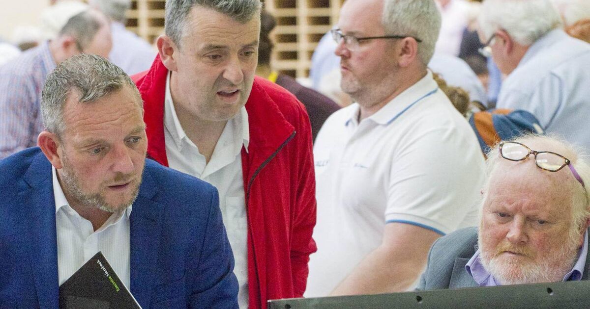 Jerry Buttimer: FG has critical role to play in new government