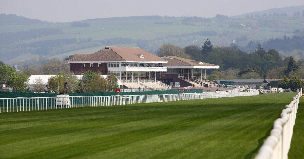 Cork racecourse to be used as COVID-19 testing facility