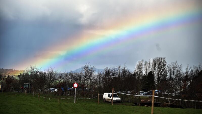 The Jane Mangan column: Irish horse racing isn't just a sport it's an ...