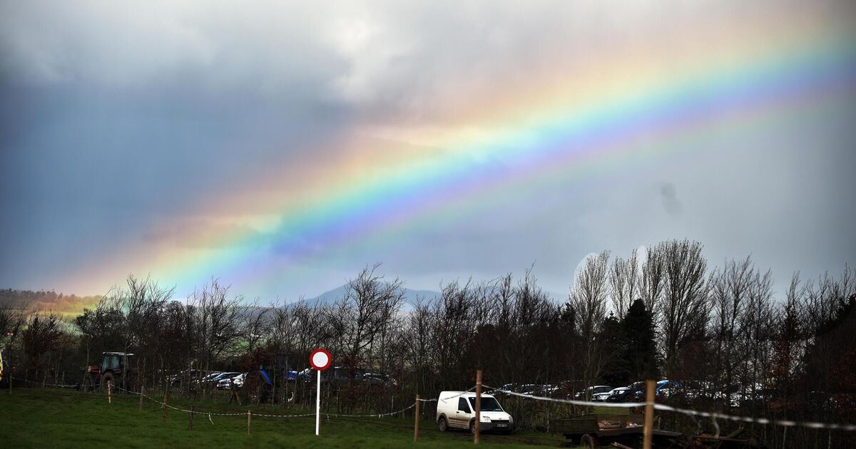 The Jane Mangan column: Irish horse racing isn't just a sport it's an ...