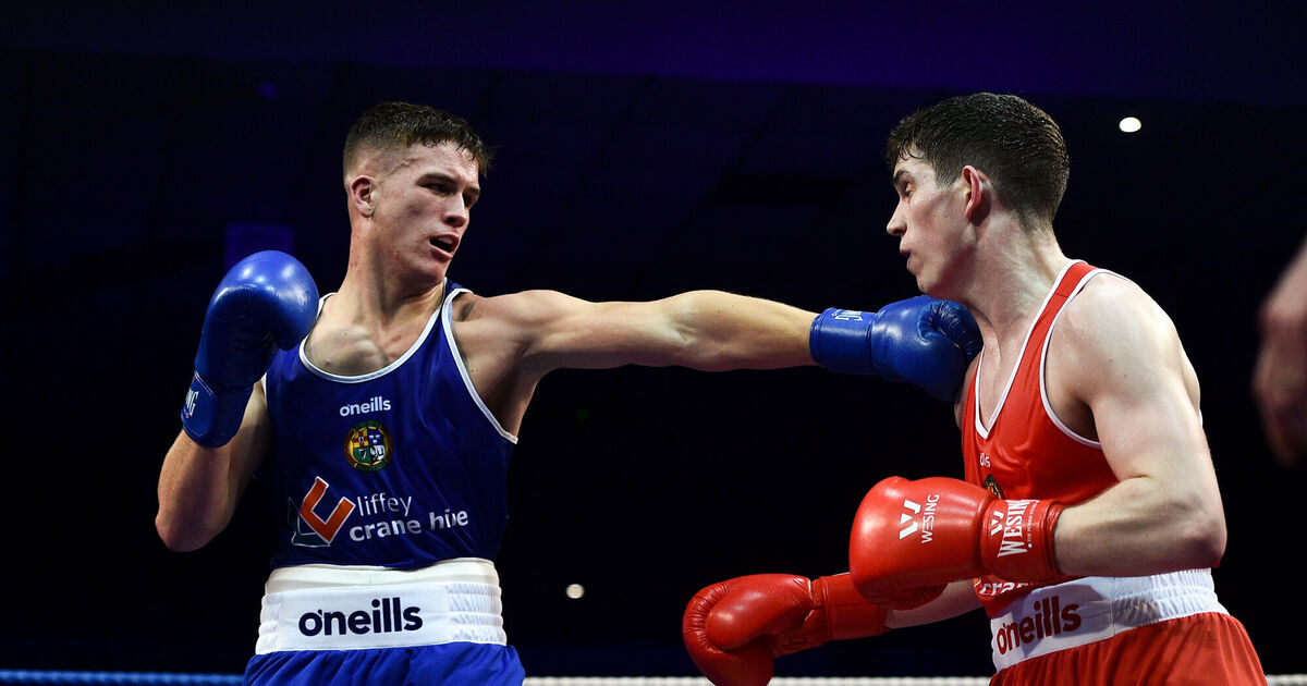 Cork boxer is fully focused on capturing the English Elite title