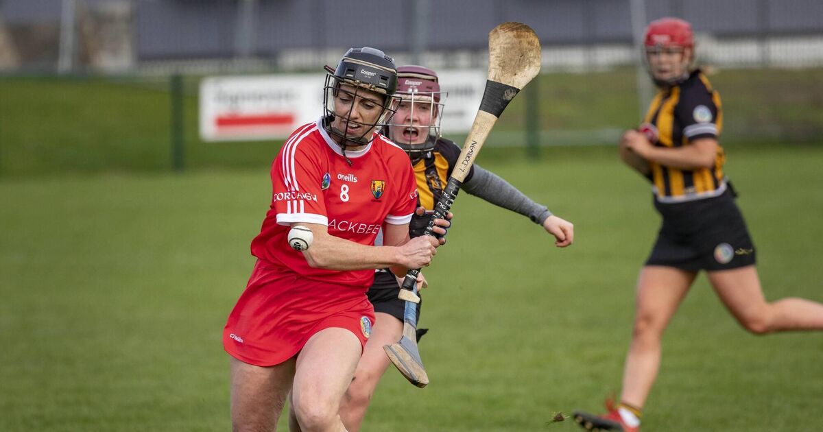 Inniscarra club man is bringing a fresh approach to Cork camogie set-up