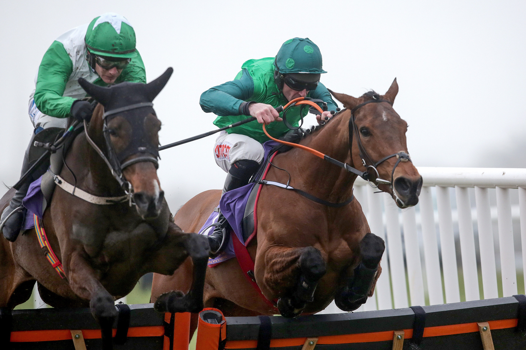 New rules as Irish race meetings continue