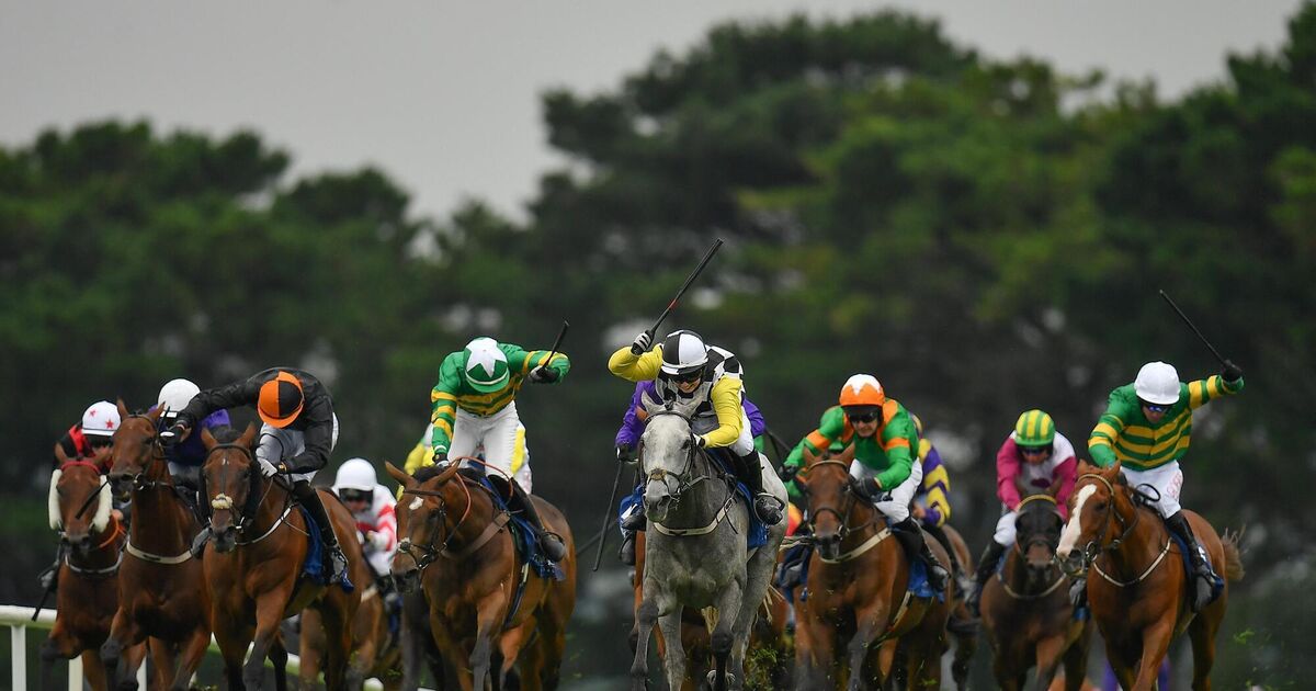 The Jane Mangan column: For racing people, the Galway Festival is the ...