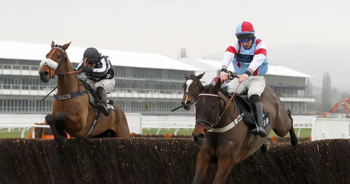 Chelthenham preview: Cork favourite Gavin Sheehan has Festival firepower