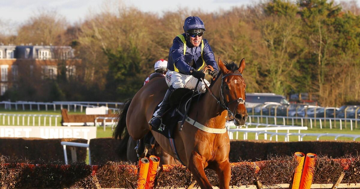 Jane Mangan: Colin Tizzard's horses are worth watching at Cheltenham